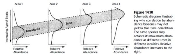 What are the principles of biostratigraphy? - StudyHUB