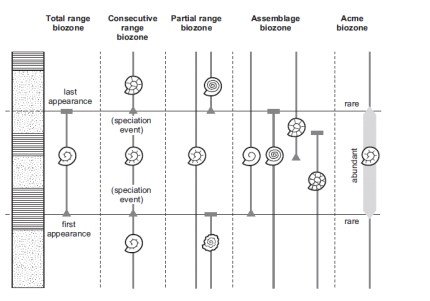 What are the principles of biostratigraphy? - StudyHUB