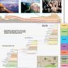 Principles of stratigraphy: Definition, Principle, Types - StudyHUB
