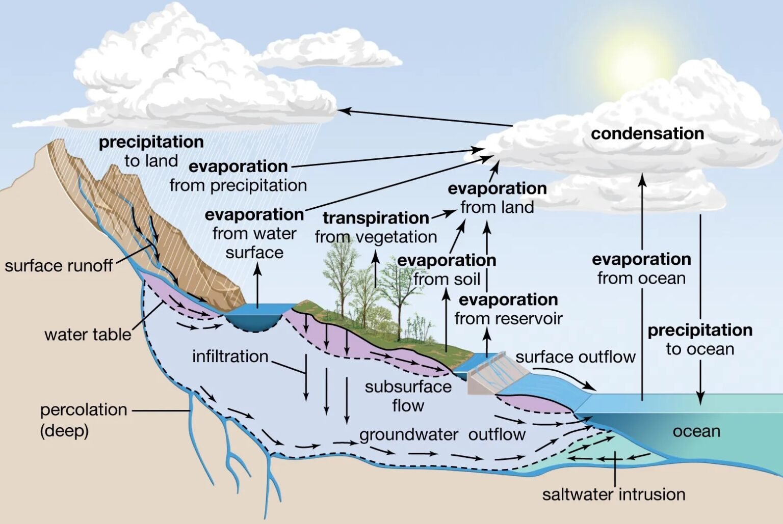 What is Hydrological Cycle/ Rain Cycle / Water Cycle and its diagram ...