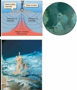 Chapter 3: Marine Provinces - StudyHUB