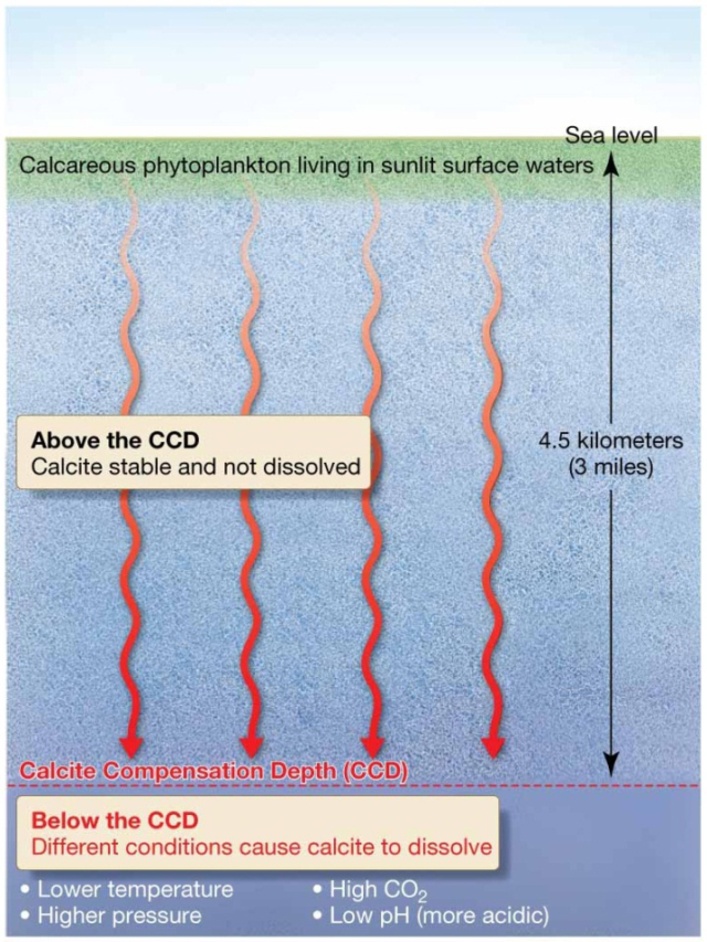 Chapter 4 Marine Sediments - StudyHUB