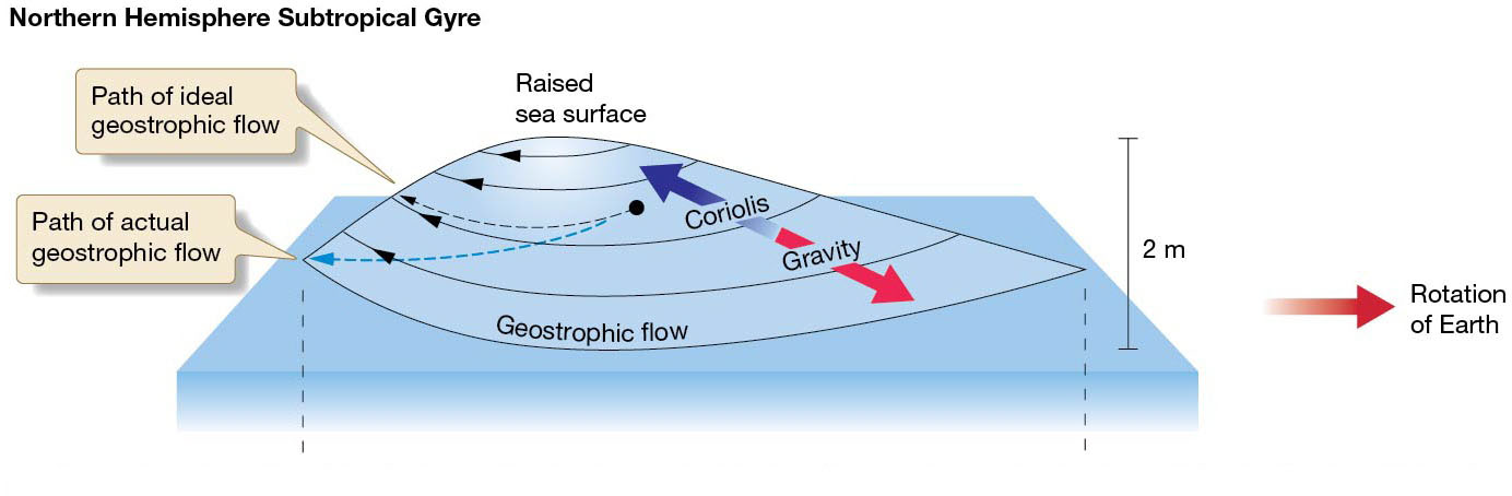 Chapter 7 Lecture: Ocean Circulation - StudyHUB