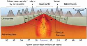 Chapter 2 Plate Tectonics and the Ocean Floor - StudyHUB
