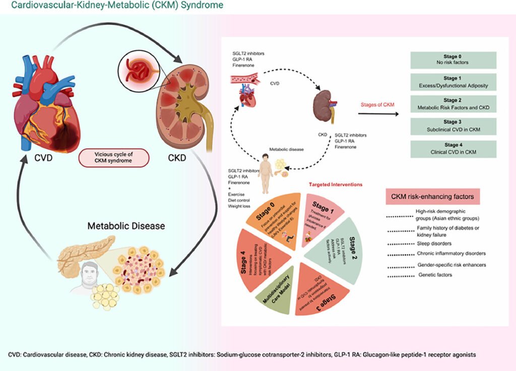 Cardiovascular Kidney Metabolic (CKM) Syndrome