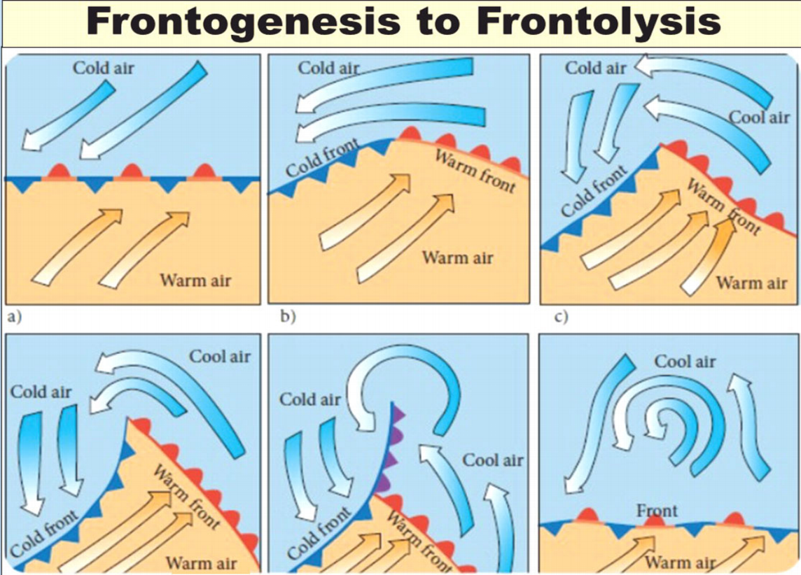 शीतोष्ण कटिबंधीय चक्रवात क्या हैं? - StudyHUB