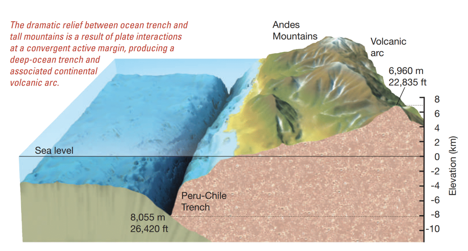 What Features Exist in the Deep-Ocean Basins? - StudyHUB