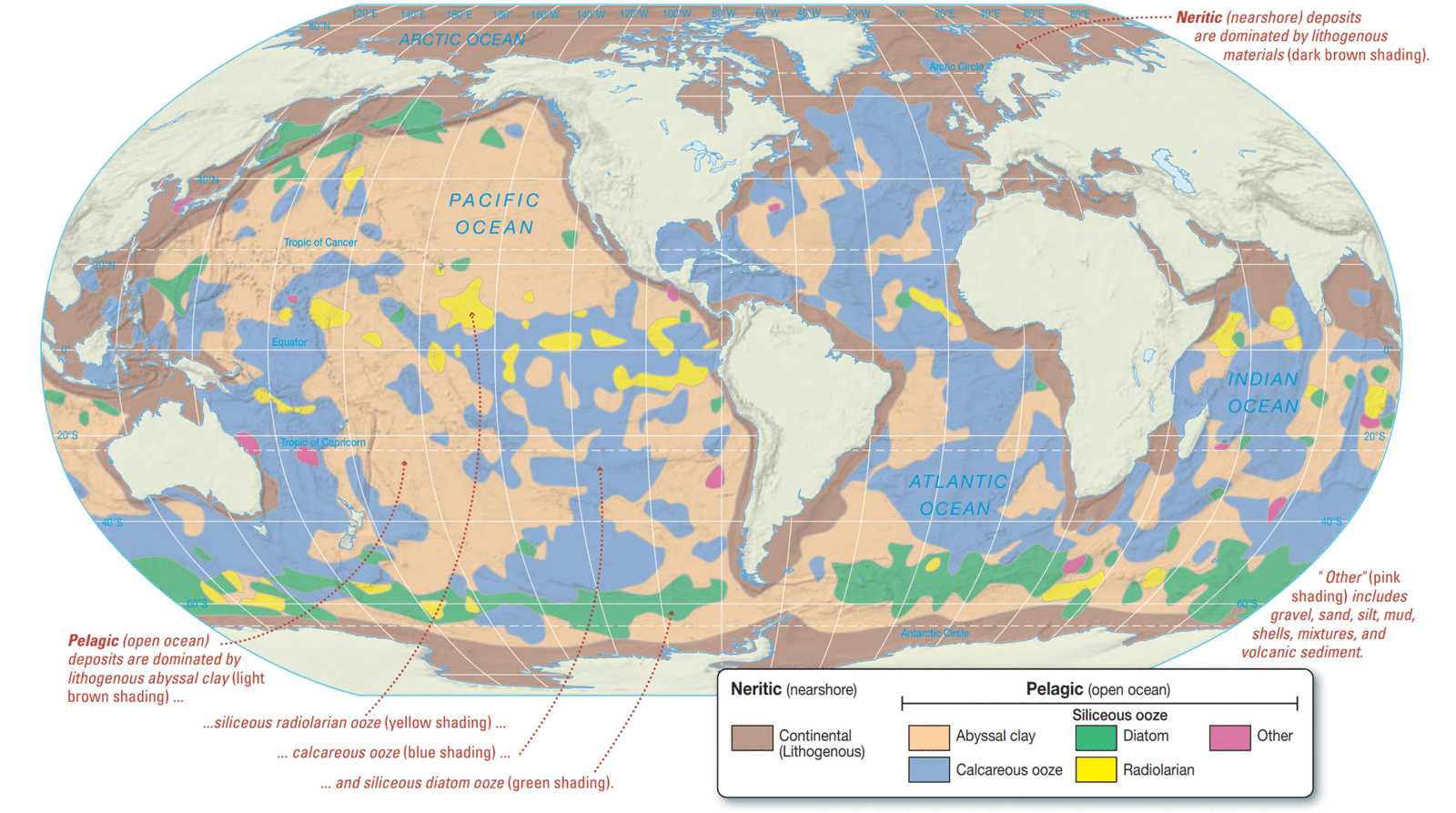 How Are Pelagic and Neritic Deposits Distributed? - StudyHUB