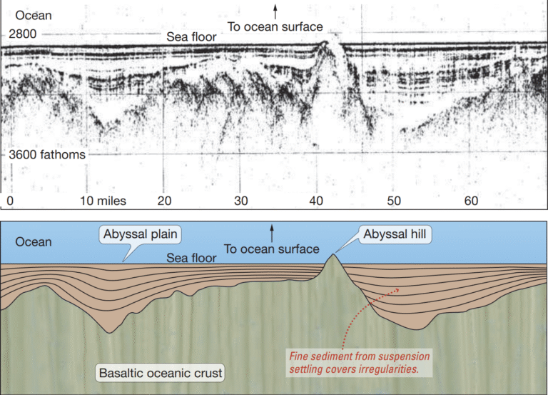 What Features Exist in the Deep-Ocean Basins? - StudyHUB